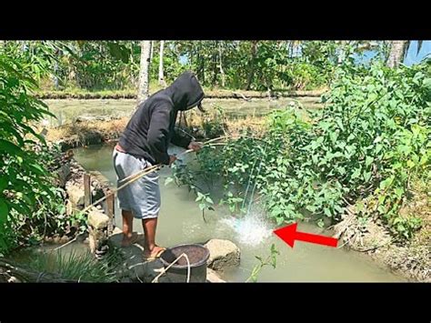 Mancing Kepiting Sungai Dan Pasang Perangkap Ikan Youtube