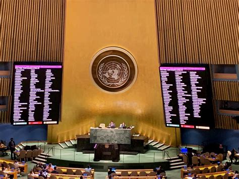 La Asamblea General De La ONU Reconoce El Derecho Humano A Un Medio