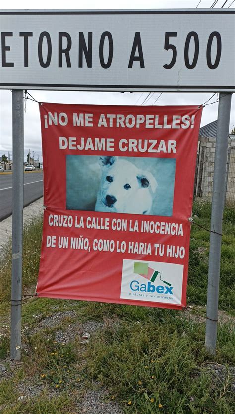 Fundación Toby on Twitter RT PataduraEl En Pachuquilla Hidalgo Una