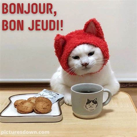 Bon jeudi humour image chat et café picturesdown