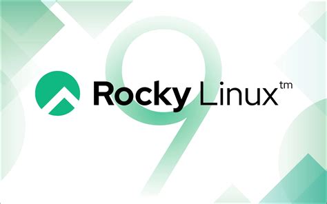 Rocky Linux Dns Bind
