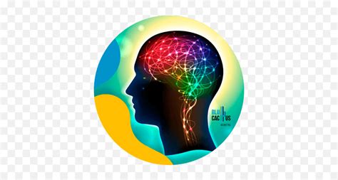 The Psychology Of Color And Why Its So Neurons In The Brain Clipart