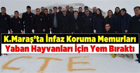 Kahramanmaraş ta infaz koruma memurları yaban hayvanları için doğaya