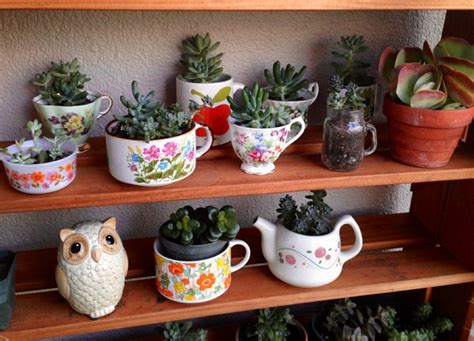 47 Succulent Planting Ideas With Tutorials Succulent Garden Ideas