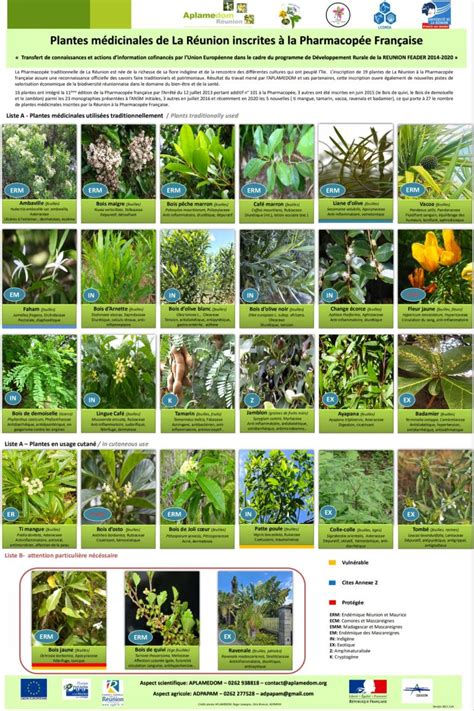 Plantes médicinales de La Réunion inscrites à la Pharmacopée