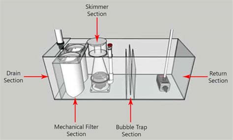 Aquarium Sumps This Is Everything You Need To Know The Beginners Reef