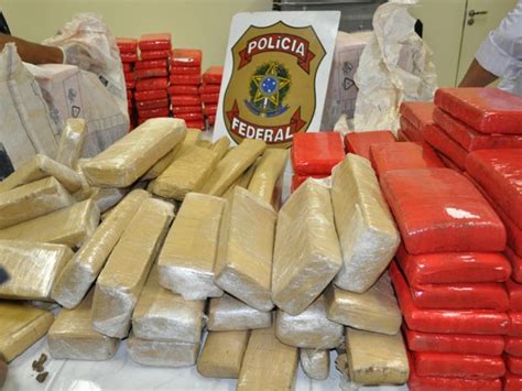 G1 Em PE polícia apreende 213 kg de maconha em carreta vinda de