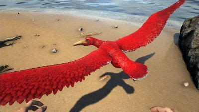 Pelagornis Official ARK Survival Evolved Wiki
