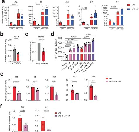 Lactate limits CNS autoimmunity by stabilizing HIF 1α in dendritic