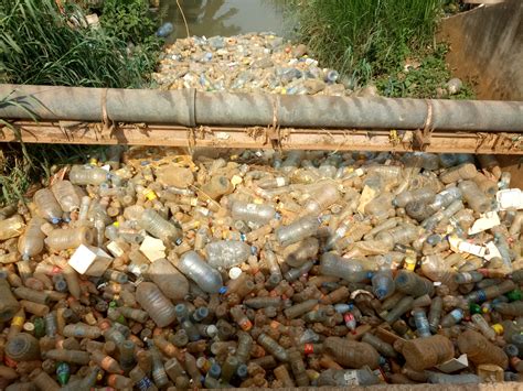 Protection De L Environnement Douala Se Lance Dans Le Combat Contre