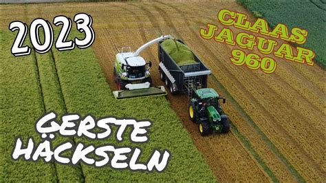 Gerste Häckseln 2023 mit Claas Jaguar 960 Häcksler Landwirtschaft