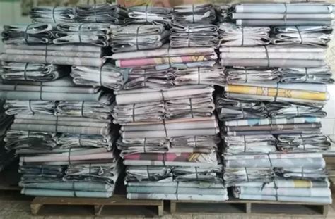 Jornal Para Pet Fardo De 10kg Folhas Gigantes Parcelamento Sem Juros