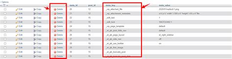 Eliminar Campos Personalizados O Custom Fields En WordPress