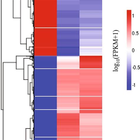 Unsupervised Hierarchical Heatmap Clustering With Double Dendrogram Of