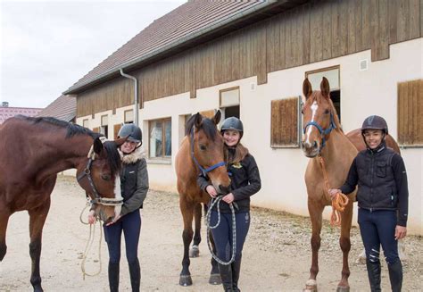 CAP Palefrenier Soigneur LaSalle Levier