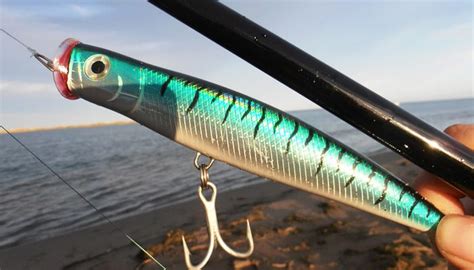 PESCAR con POPPERS Técnicas de pesca con Señuelos EsPesca