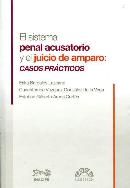 Libro El Sistema Penal Acusatorio Y El Juicio De Amparo