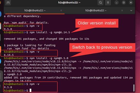 How To Change NPM Version In Linux Windows Or MacOS