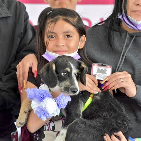 Clara Brugada Molina On Twitter Lo Hicimos Con Una Gran Jornada De