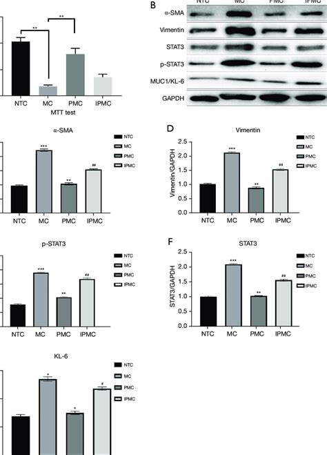 Pirfenidone Inhibits Damage To Rle Tn Cells By Inhibiting Bleomycin