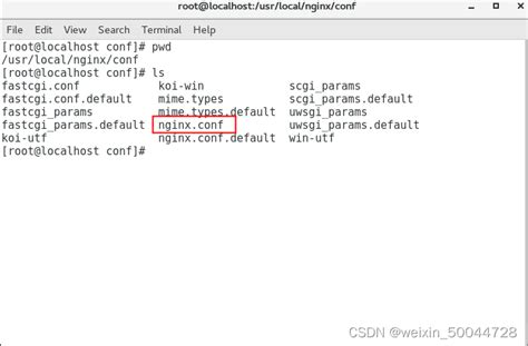 Liunx Nginx Csdn