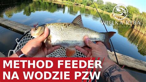 Method Feeder Na Wodzie PZW YouTube