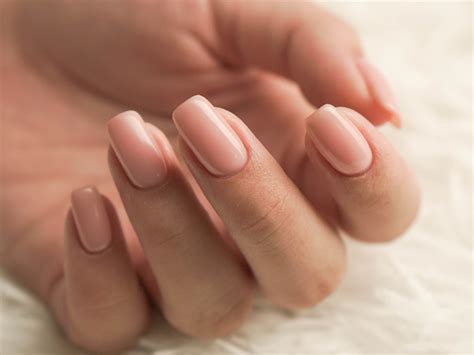 Alongamento De Unhas Tudo O Que Voc Precisa Saber Roteiro Da Beleza