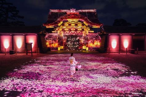 Review Naked Sakura Festival World Heritage Site Nijo Jo Castle
