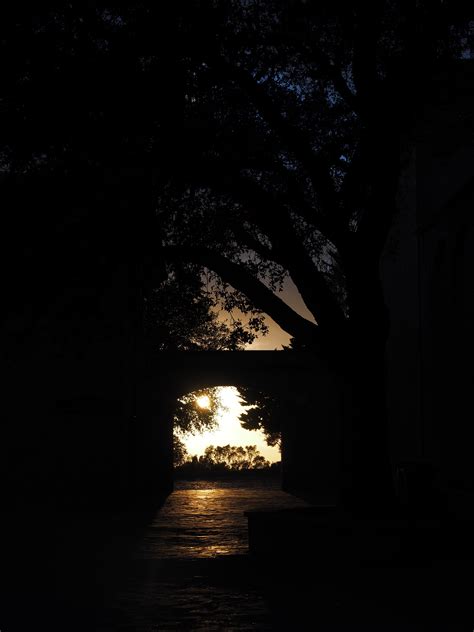 Fotos gratis árbol ligero puesta de sol noche luz de sol Mañana