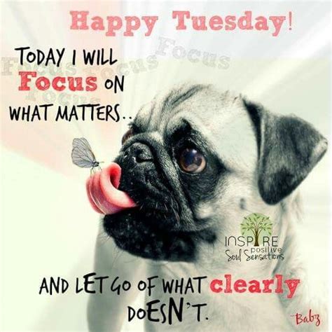 Tuesday Morning Quotes Funny