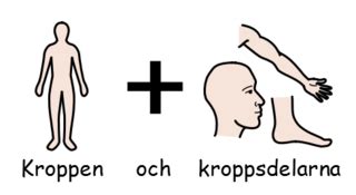 Skolbanken Tema Kroppen Kroppsdelarna Vt