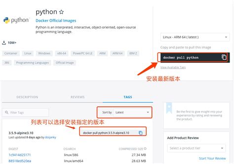 docker 安装 python 菜鸟教程