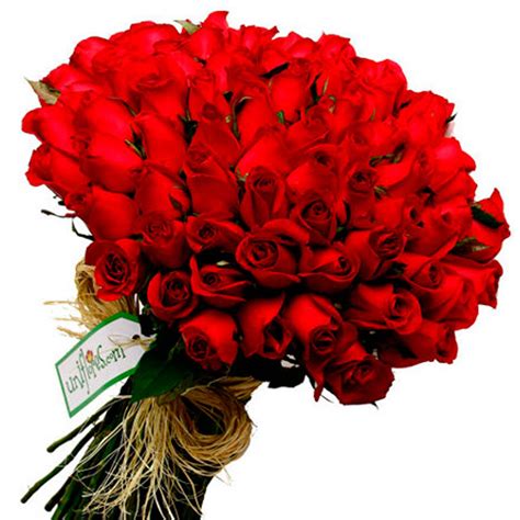 Buquê de Rosas Supreme Floricultura Uniflores Flores Online Brasil