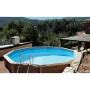 Piscina Naturalis Decagonal 493x472 Cm