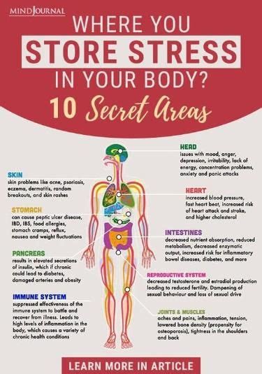 Best 11 10 Ways To Supercharge Your Dopamine Levels Naturally Artofit