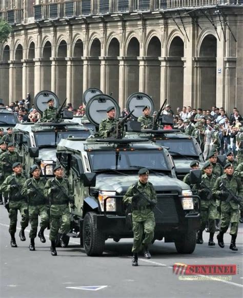 CFE Cuerpo De Fuerzas Especiales Del Ejemex Ejercito