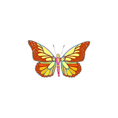 Plantilla De Mariposa Monarca Transparente Con Fondo Blanco Vector