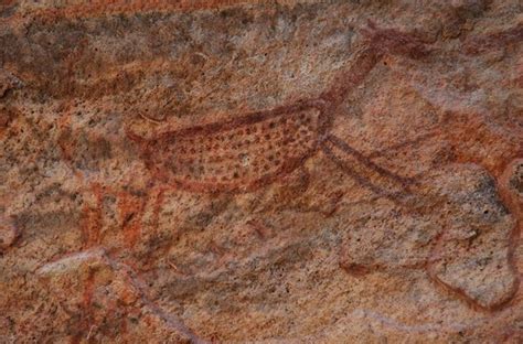 A ARTE PRÉ HISTÓRICA NO BRASIL PARQUE NACIONAL SERRA DA CAPIVARA