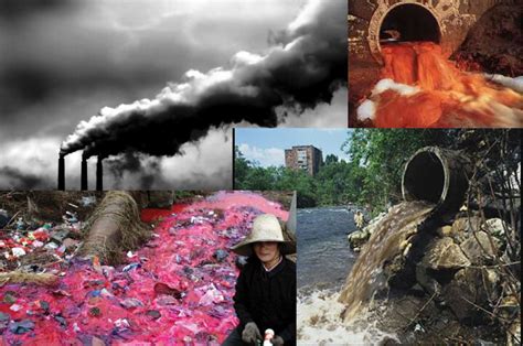 Confeccion Del Vestido E Industria Textil La Industria Textil Es