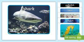 Under The Sea Adjectives Word Mat Lehrer Gemacht Twinkl