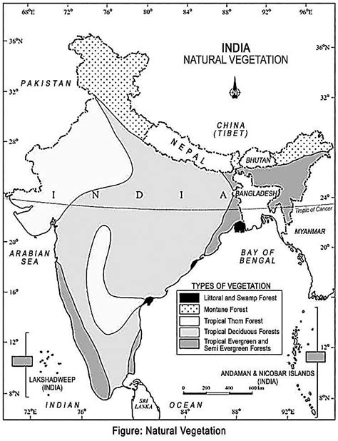 Natural Vegetation Of India Evergreen Deciduous Montane Thorn