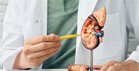 Equilibrio Renal CUÁNDO ES NECESARIO UN TRASPLANTE