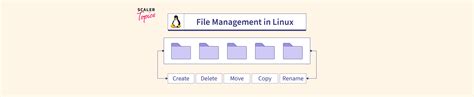 File Management In Linux Scaler Topics