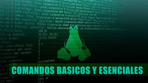 Comandos B Sicos Y Esenciales De Linux Unix Esgeeks