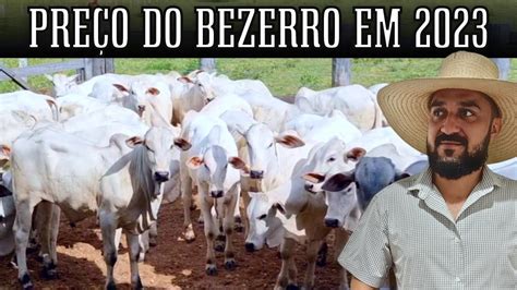 Preço do Boi Gordo e do Bezerro 2023 YouTube