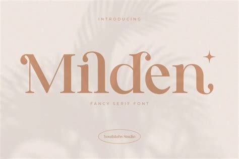 25 Modern Elegant Fonts With Classy Designs Theme Junkie