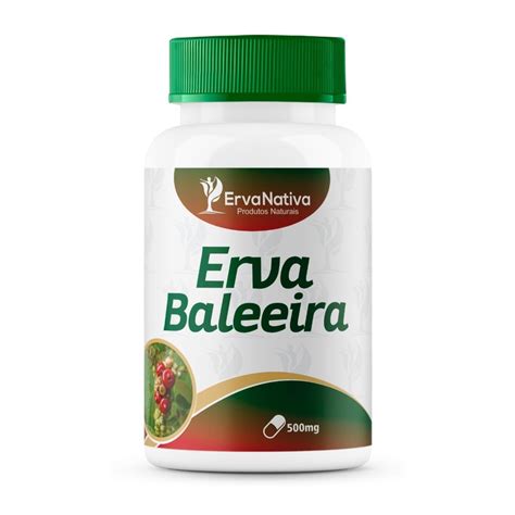 Erva Baleeira 100 Cápsulas 500mg Escorrega o Preço