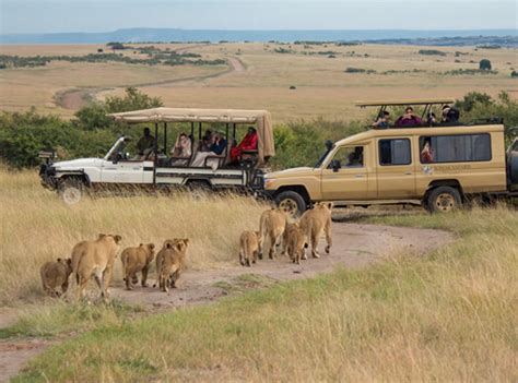 7 Days Rwanda Gorilla Trekking And Masai Mara Safari