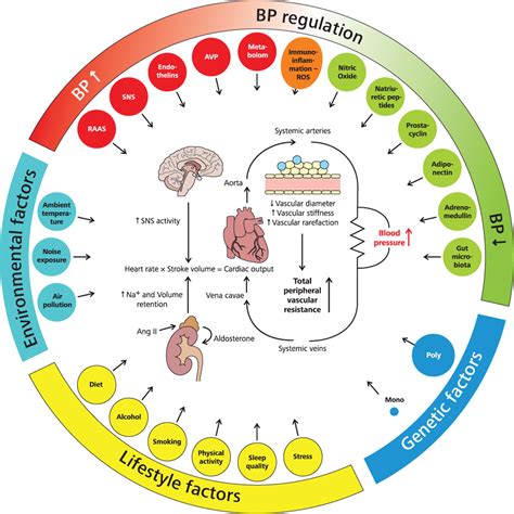 manejo de la hipertensión arterial 2023 guía terapéutica