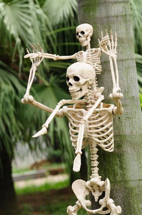 Spooktastic Skeleton Halloween Decoration Ideas For Front Yard
